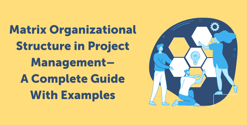 Matrix Organizational Structure in Project Management– A Complete Guide ...